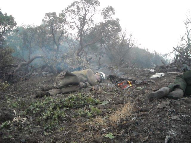 Wildland firefighters deserve better.